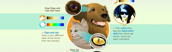 How Animals See the World [Infographic]