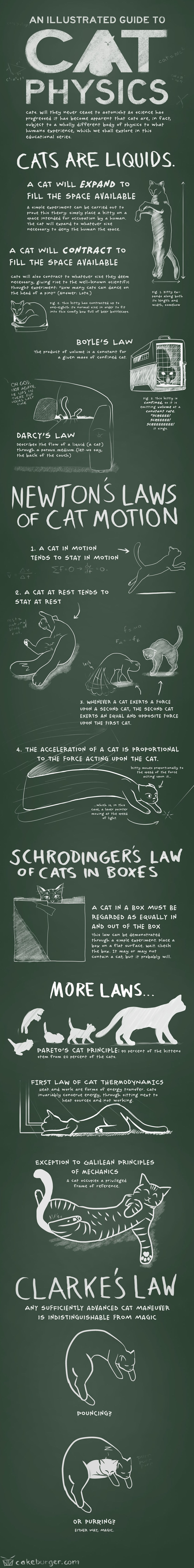 An Illustrated Guide To Cat Physics [Infographic]