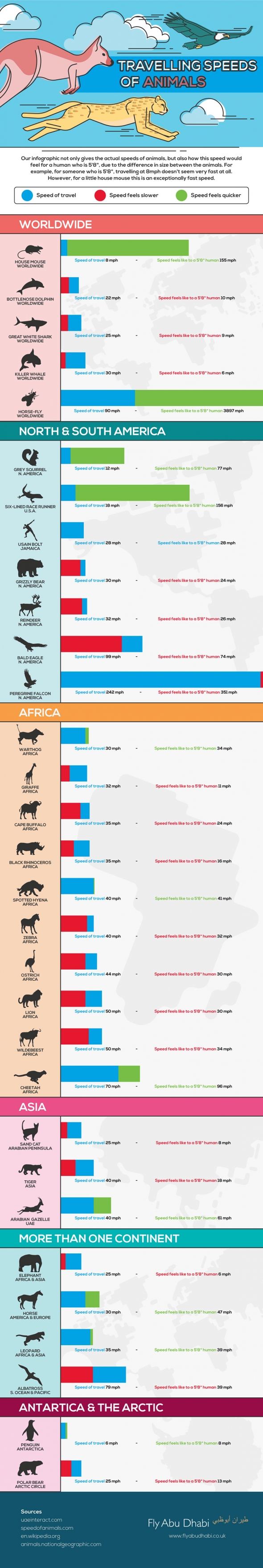 Travelling Speeds of Animals [Infographic]
