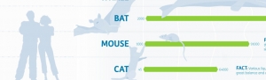 Animal Hearing Ranges Compared to Human [Infographic]
