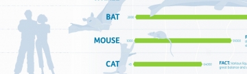 Animal Hearing Ranges Compared to Human [Infographic]