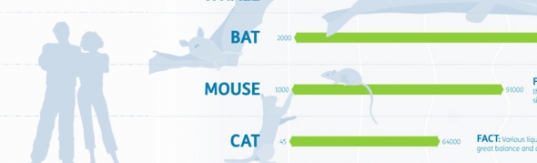 Animal Hearing Ranges Compared to Human [Infographic]