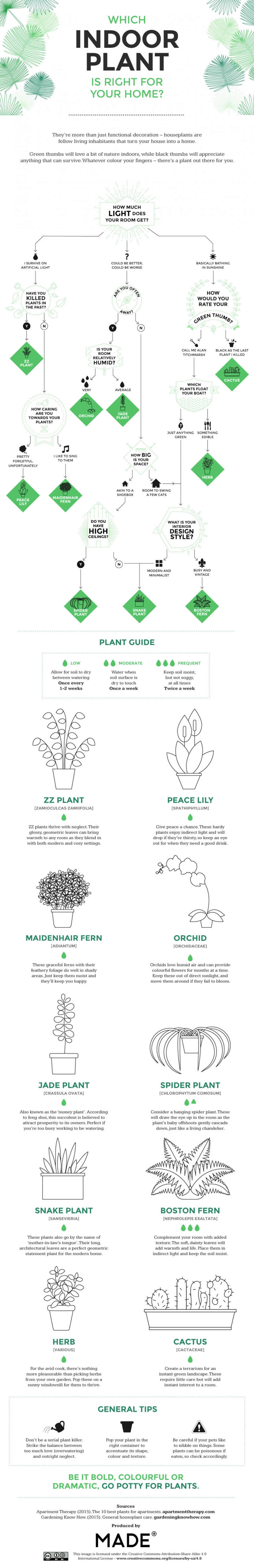 Which Types of Houseplants are Best for Your Home? [Flowchart]
