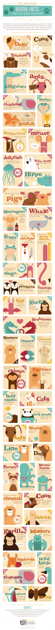 50 Interesting Animal Facts that will Blow Your Mind [Infographic]