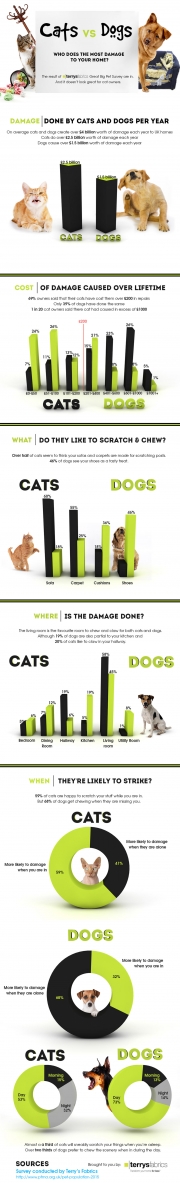 Cats or Dogs: Who Does the Most Damage to Your Home [Infographic]