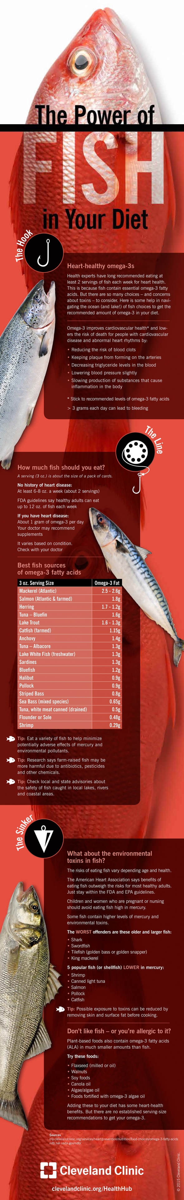 The Power of Fish in Your Diet [Infographic]