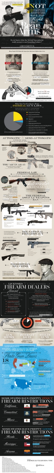 The Second Amendment and the Right to Bear Arms [Infographic]