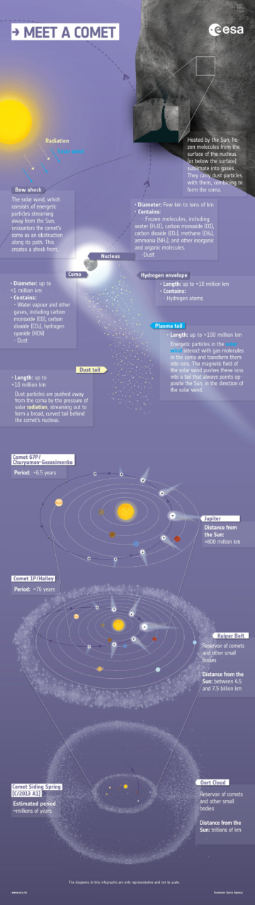 Anatomy of a Comet [Infographic]