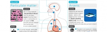 The Composition of Air We Breathe [Infographic]