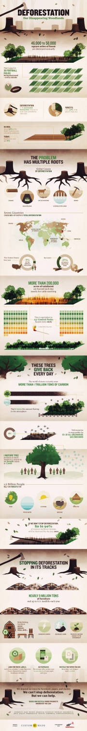 The Negative Impacts of Deforestation [Infographic]