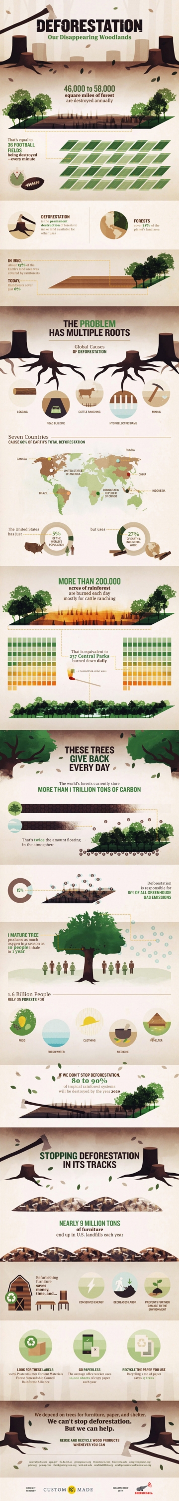 The Negative Impacts of Deforestation [Infographic]