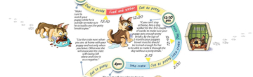 Potty Training Schedule: How to Housebreak a Puppy [Infographic]